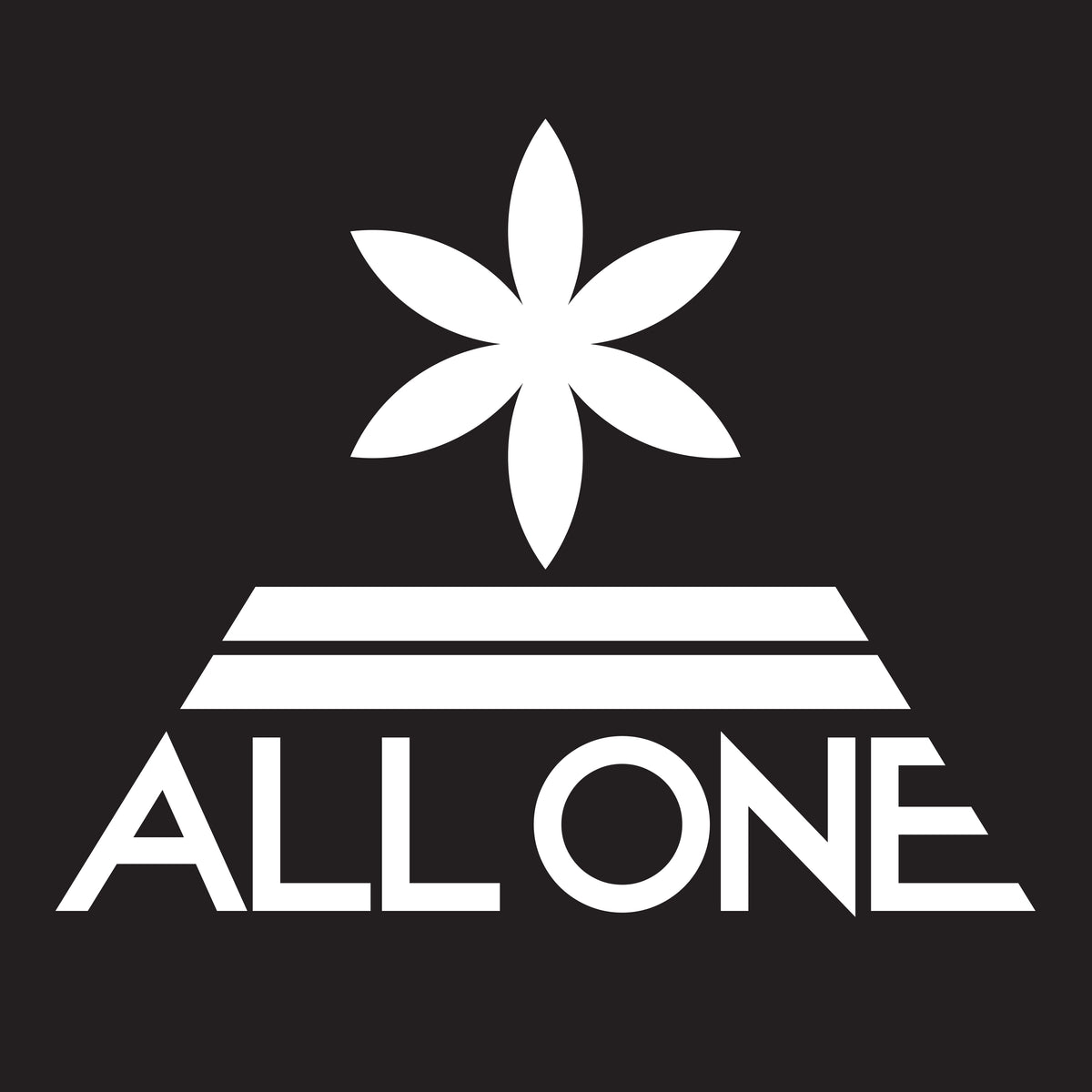 NYC Pool Series 2024 Pier 62 Skatepark – ALL ONE UNIVERSE