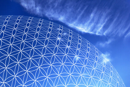 FLOWER OF LIFE - Universal Appeal – ALL ONE UNIVERSE