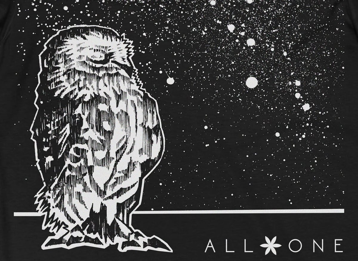 OBSERVATION UNIVERSE Collaboration – ALL ONE UNIVERSE